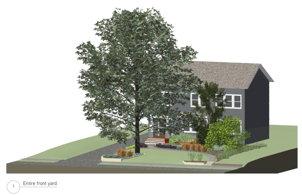 In the Studio | Ingersoll Park Front Yard Design - redfernlandscape.com