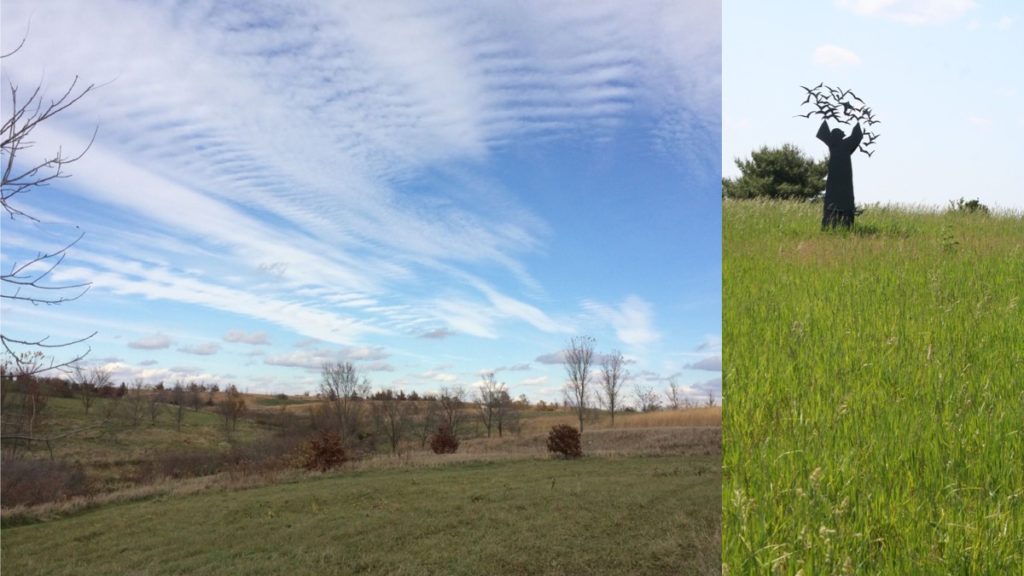 Use a focal point to make your "blah" yard beautiful ...