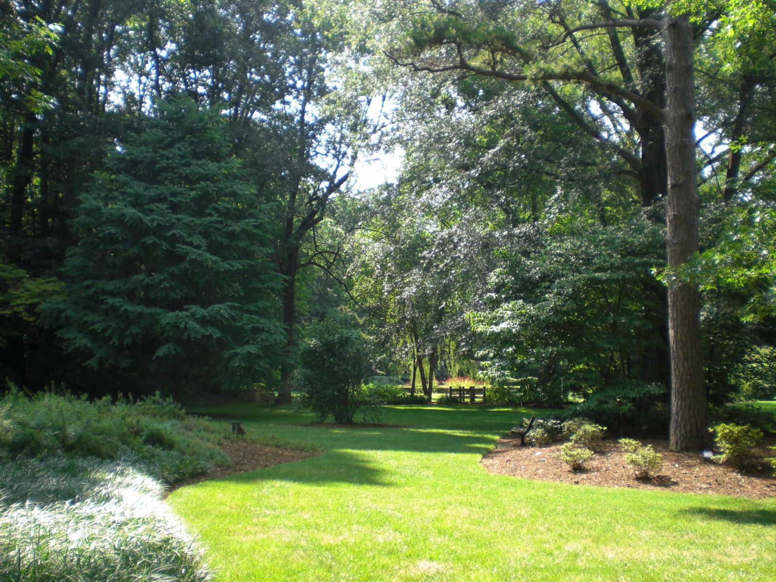 Three questions to help you create a well-designed pathway ...