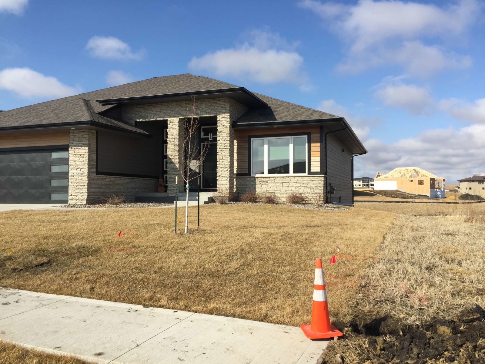 In the Studio | Front yard, back yard: new construction landscaping ...