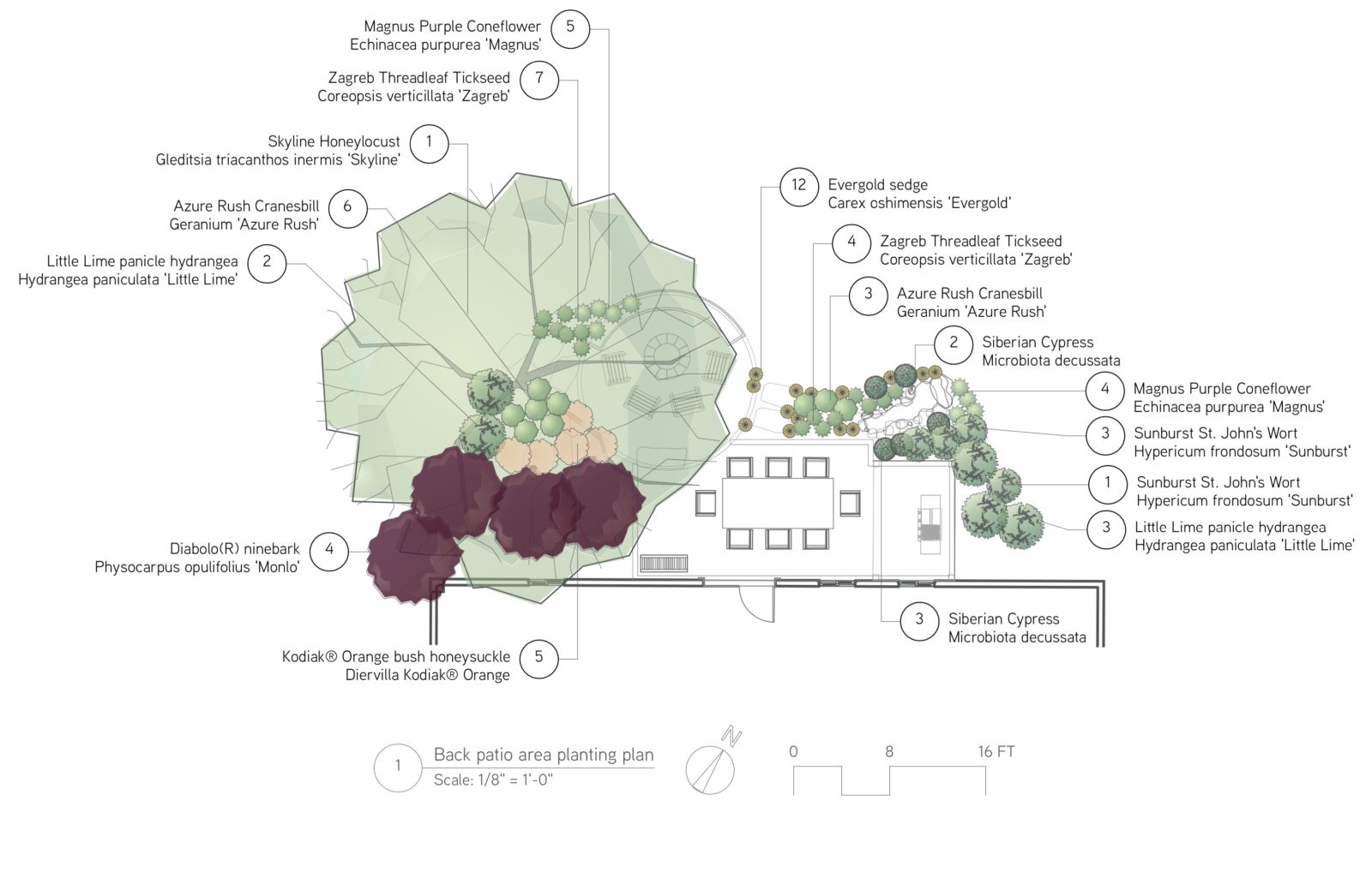 In the Studio | Master plan for a complete landscape design ...