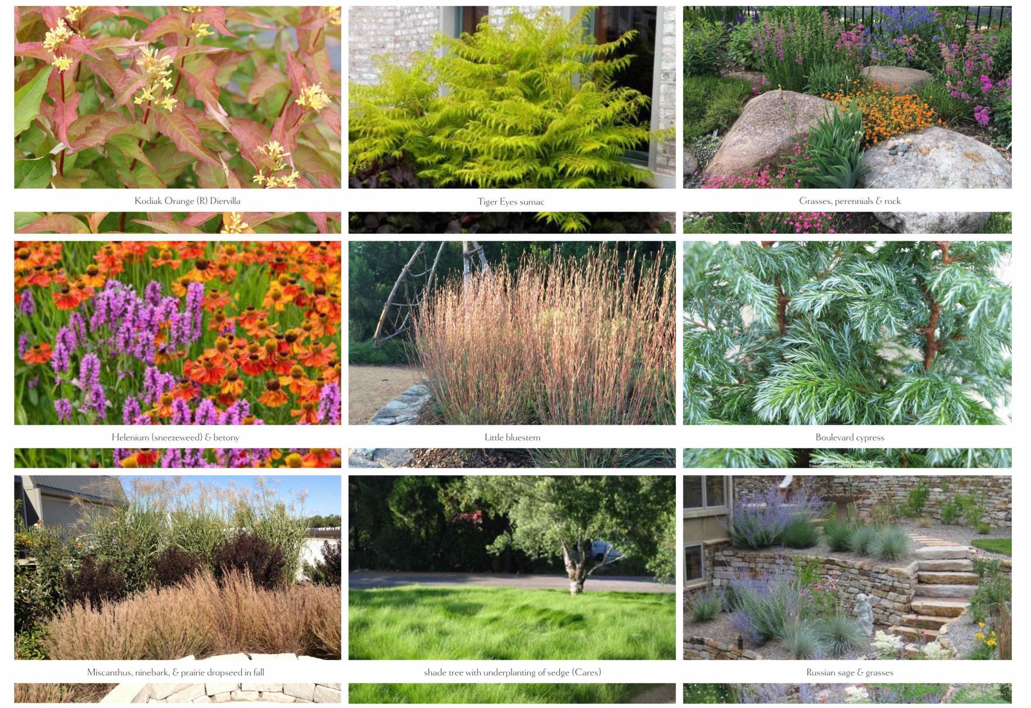 In the Studio | Master plan for a complete landscape design ...